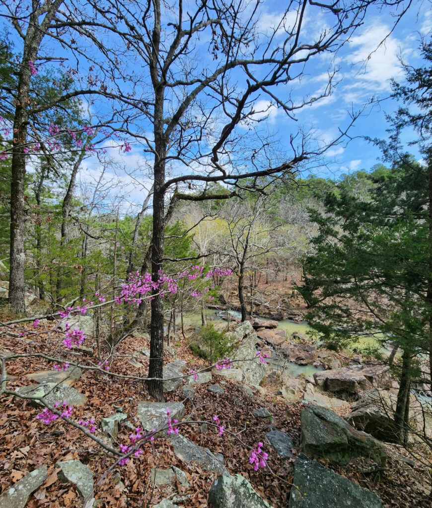 The Belle Starr Loop: A Hiking Trail Immersed in History