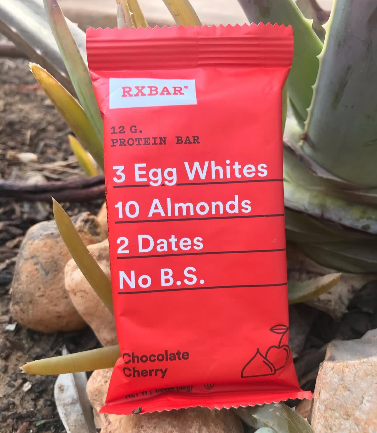 The RX Bar: The Ultimate Energy Bar for Hikers