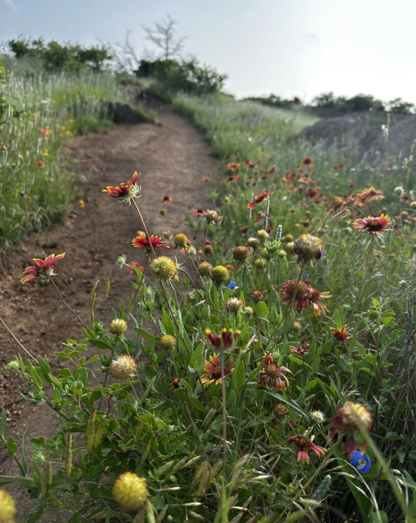 The Kite Trail: A Scenic Hike through the Wichita Mountains