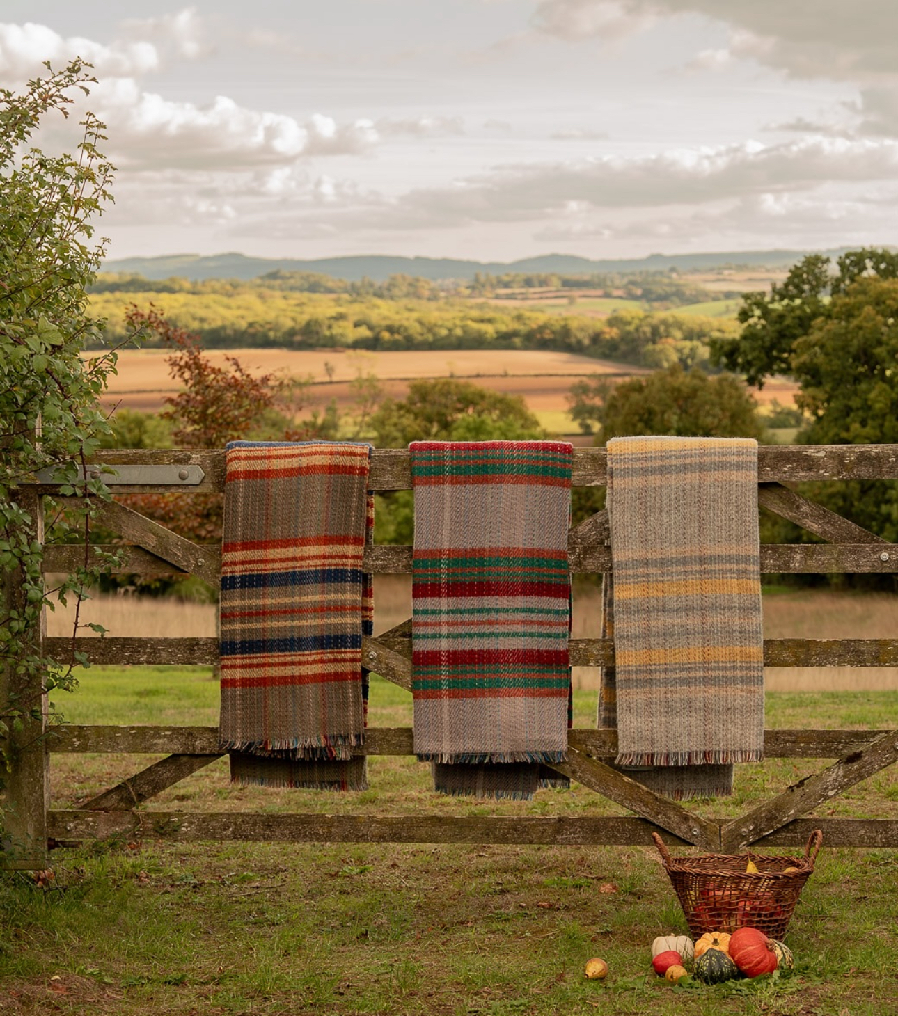 Wool Blankets: 5 Reasons Why you Should Own One