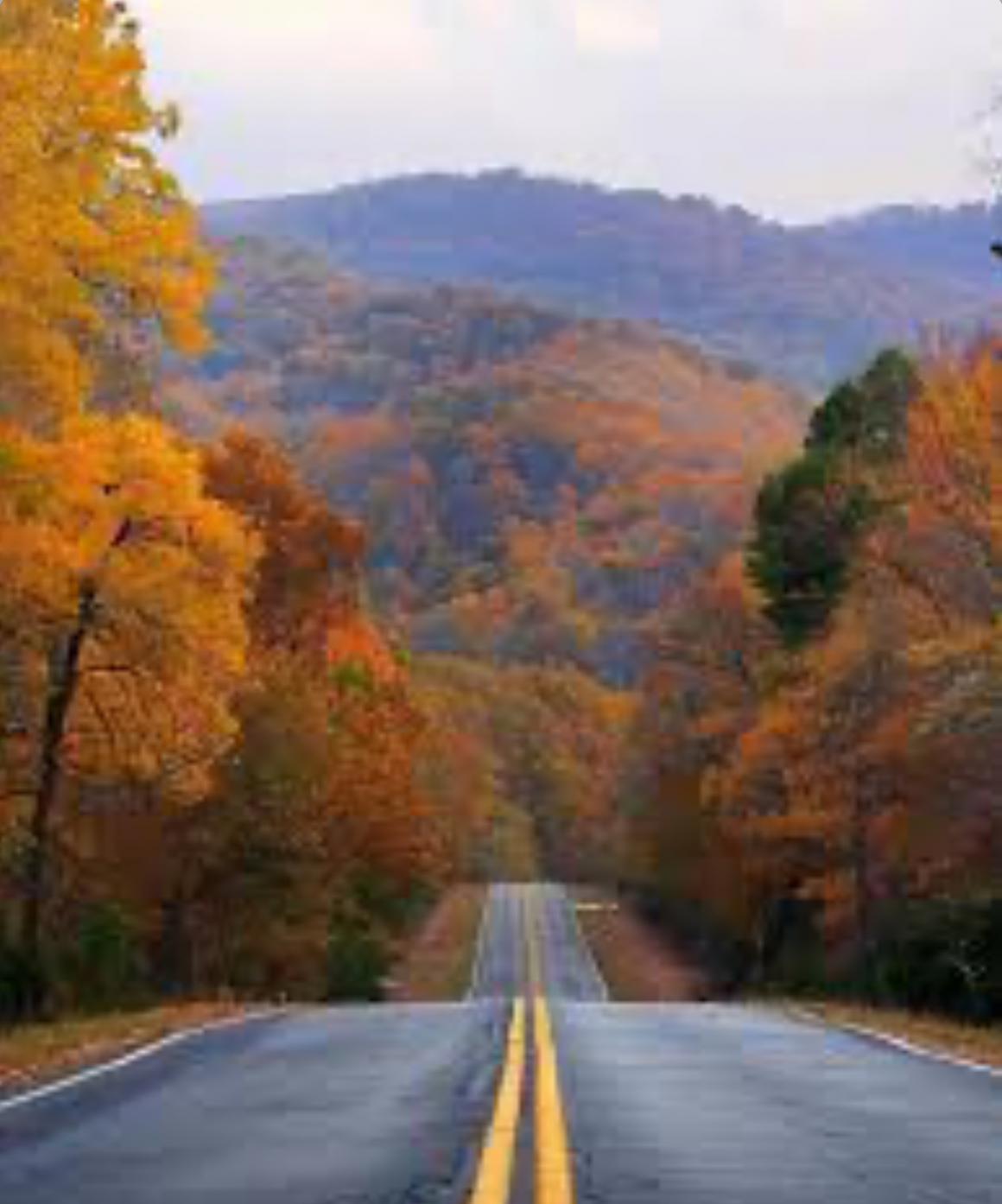 Pig Trail Scenic Byway: The Natural State's Autumn Road